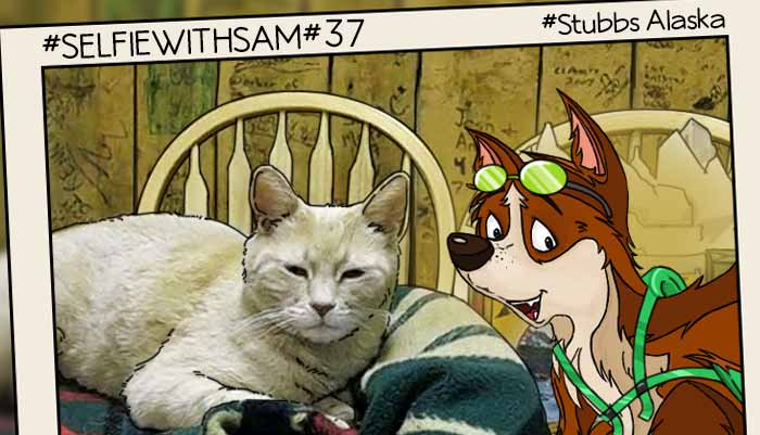 Stubbs The Cat Mayor, Alaska - Selfie with Sam | Mocomi Kids