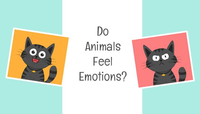 Do Animals Feel Emotions? - GK for Kids | Mocomi